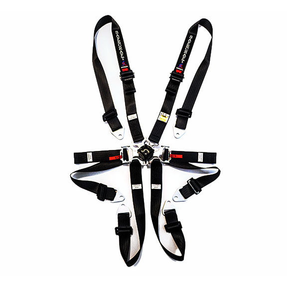 6 Point Harnesses at CMS – Competition Motorsport