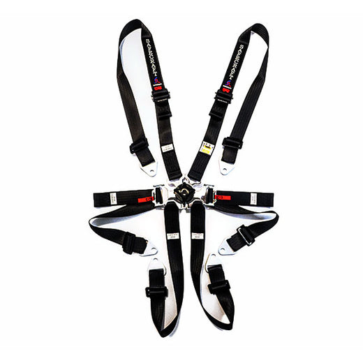 Racing Restraints at CMS – competitionmotorsport.com